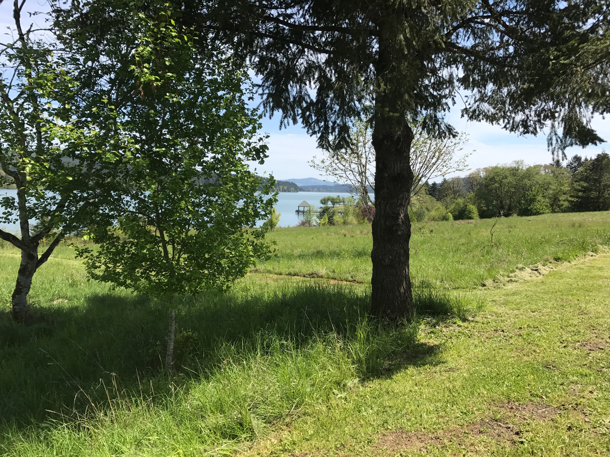 Henry Hagg Lake – Washington County – Hey Willamette Valley