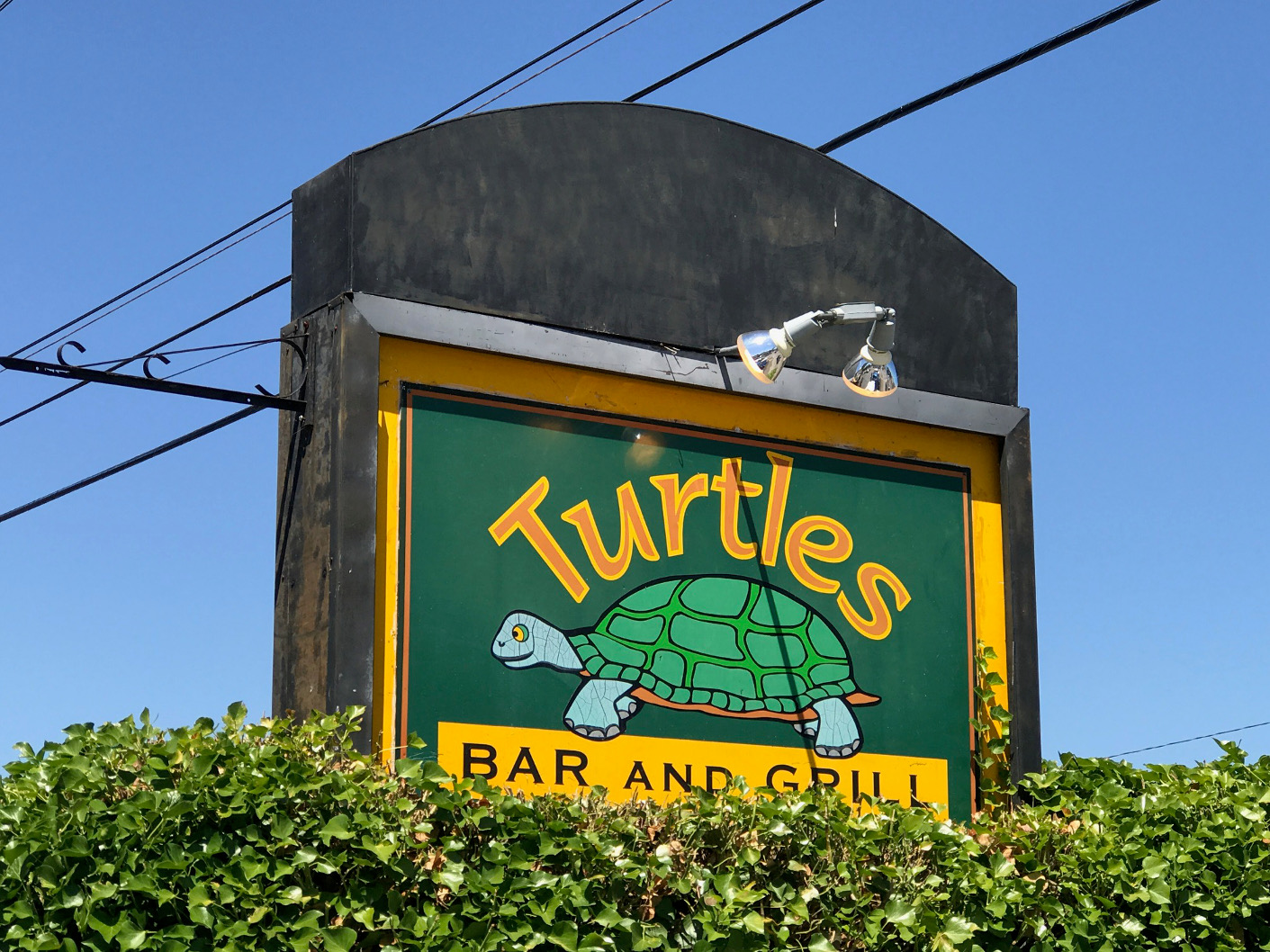 Turtles Bar and Grill – Eugene – Hey Willamette Valley