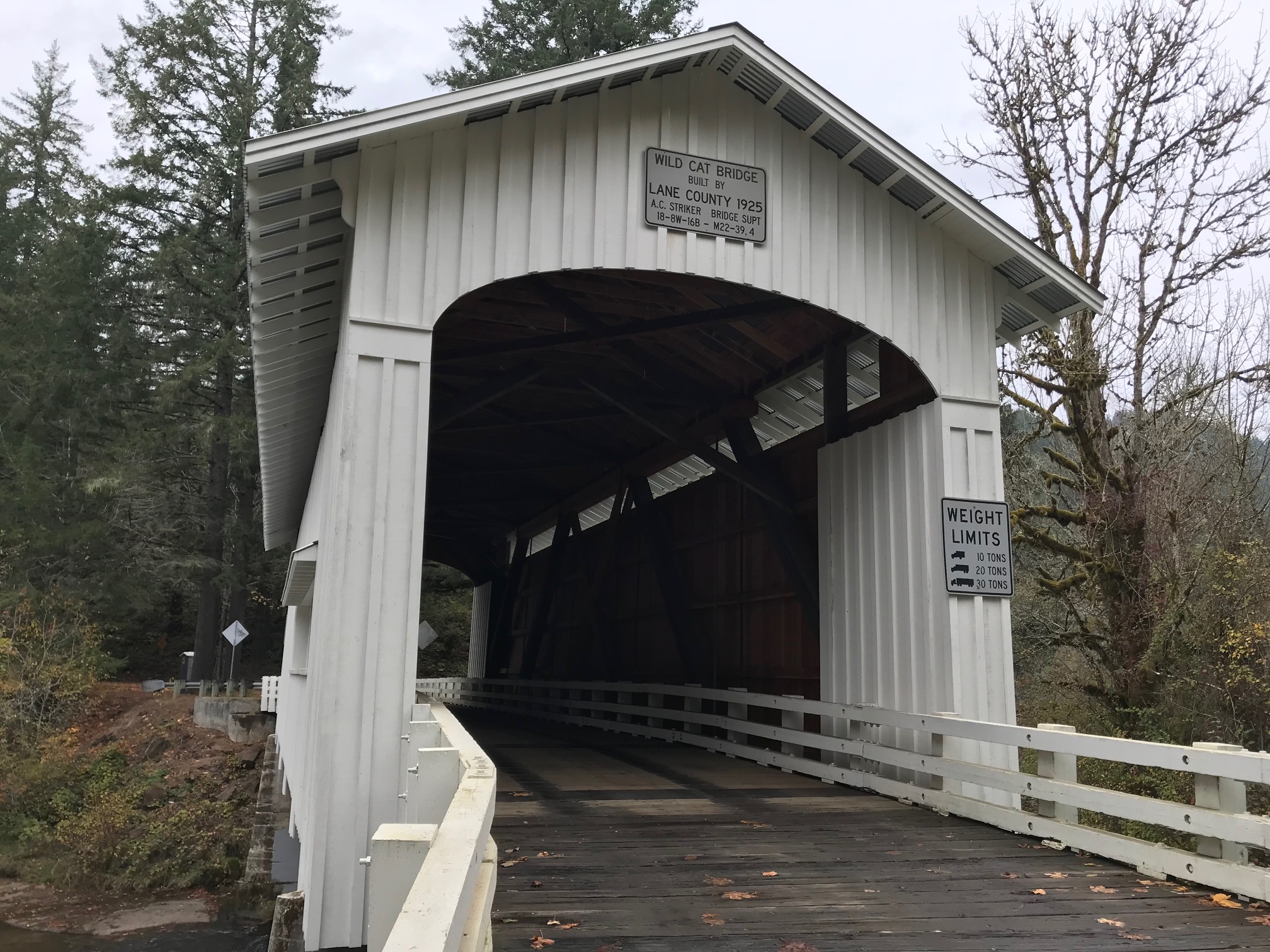 Wild Cat Bridge – Lane County – Hey Willamette Valley